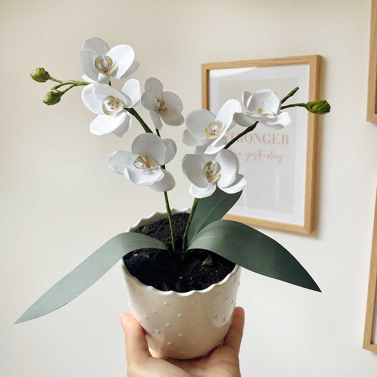 Paper orchid - Cielodicarta